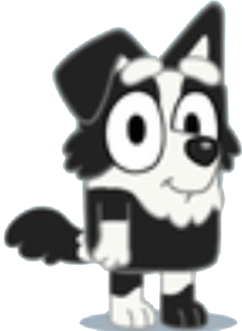 Mackenzie Border Collie | Bluey: Extended Timeline Wiki | Fandom
