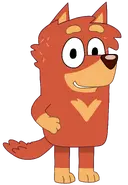 Bluey: Extended Timeline Wiki | Fandom