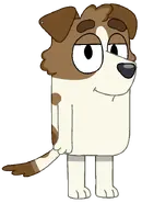 Bluey: Extended Timeline Wiki | Fandom