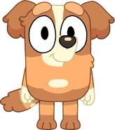 Bluey: Extended Timeline Wiki | Fandom