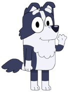 Bluey: Extended Timeline Wiki | Fandom