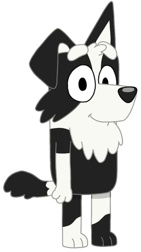 Mackenzie Border Collie | Bluey: Extended Timeline Wiki | Fandom