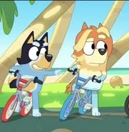 Radley | Bluey Fanon Wiki | Fandom