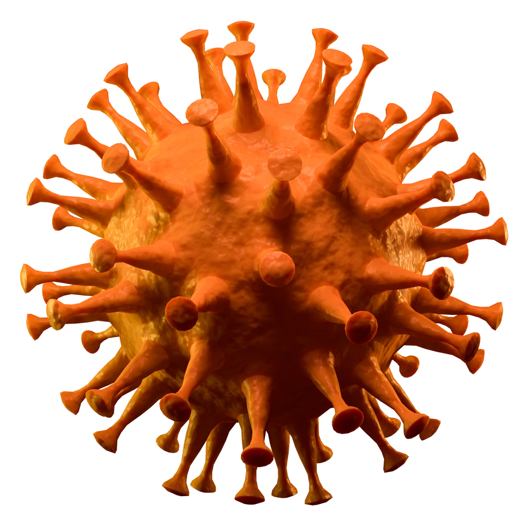 VIRU5 B1NG0 | Bluey Fanon Wiki | Fandom