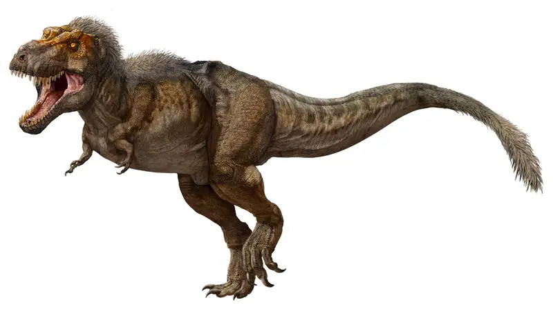 Tyrannosaurus Rex | Bluey Fanon Wiki | Fandom