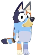 Spluffo | Bluey Fanon Wiki | Fandom