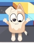 Banjo | Bluey Fanon Wiki | Fandom