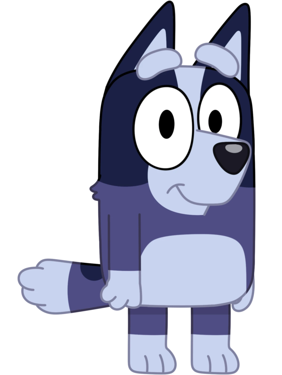Astro Nova | Bluey Fanon Wiki | Fandom