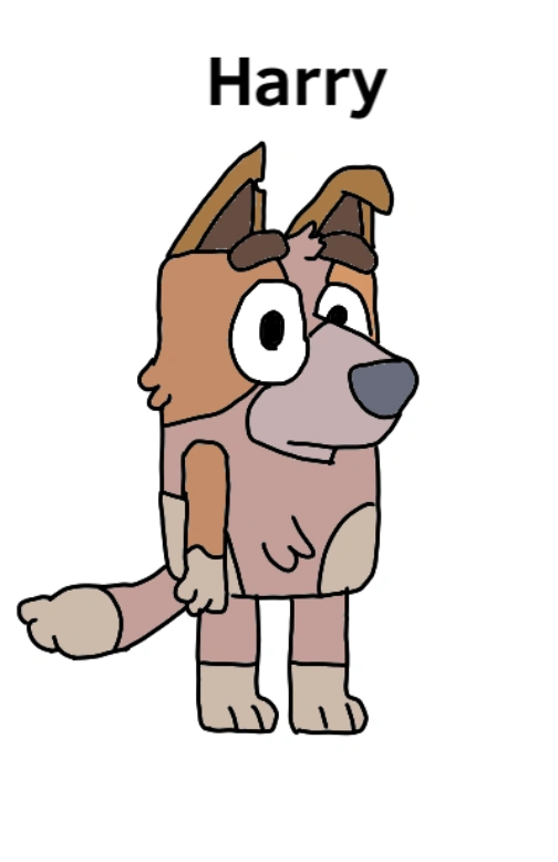 Harry | Bluey Fanon Wiki | Fandom