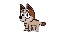 Soxy | Bluey Fanon Wiki | Fandom