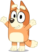 Adult Bingo | Bluey Fanon Wiki | Fandom