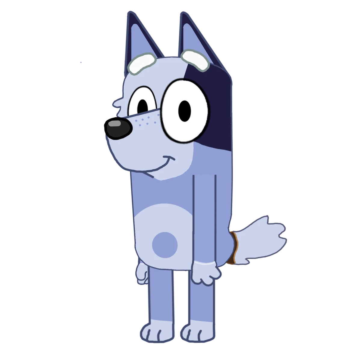 Bagel Heeler | Bluey Fanon Wiki | Fandom