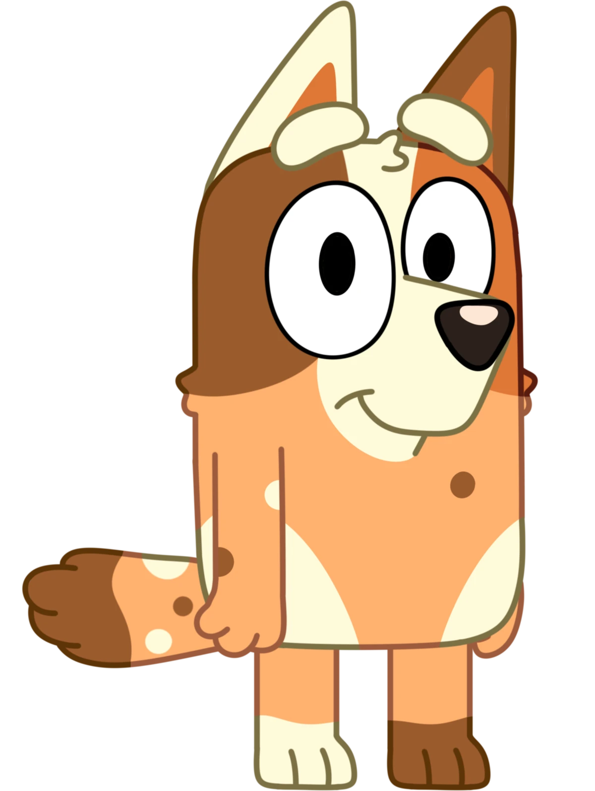 Pumpkin Cattle | Bluey Fanon Wiki | Fandom