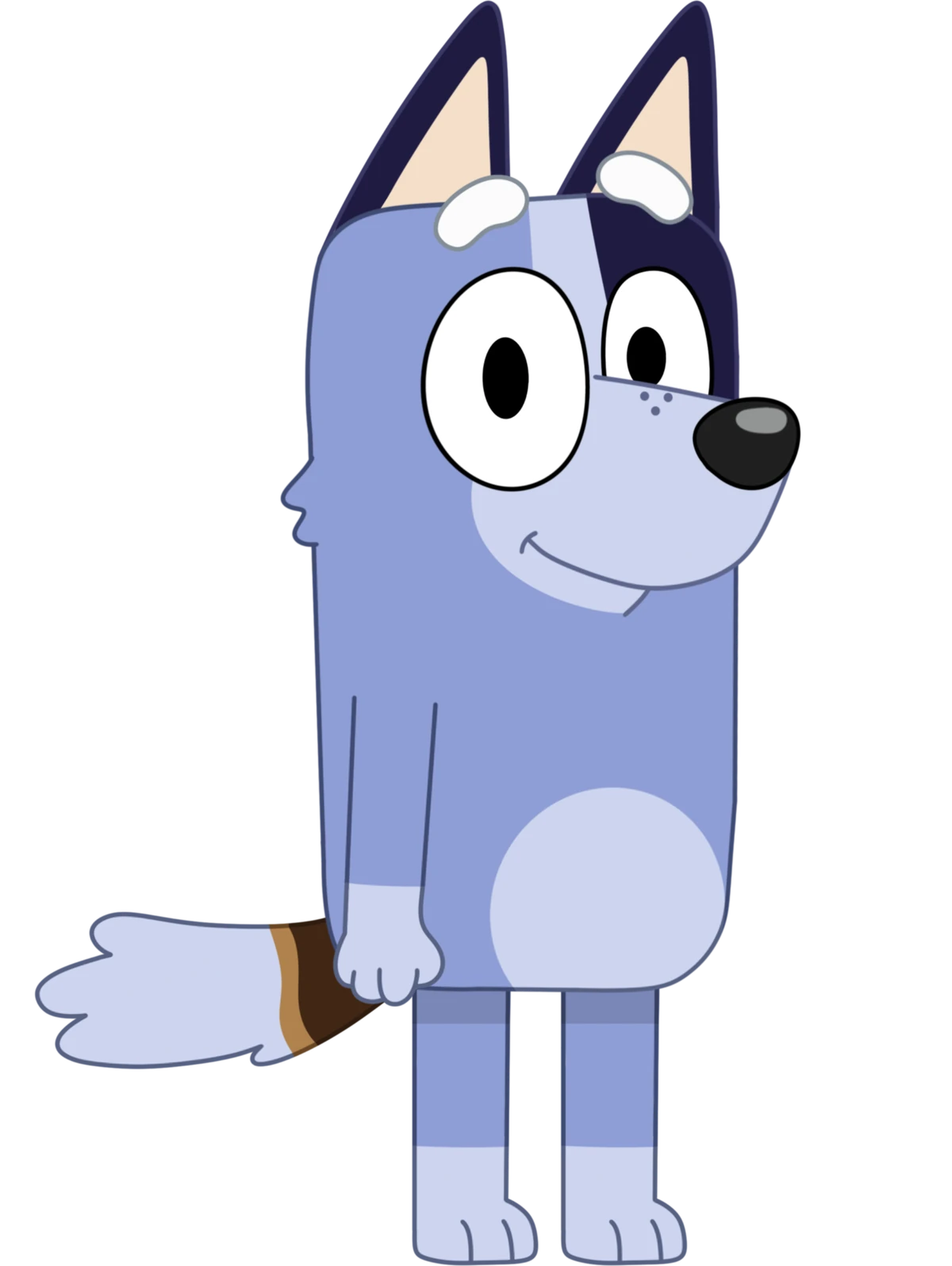 Socks Boysenberry Heeler | Bluey Fanon Wiki | Fandom