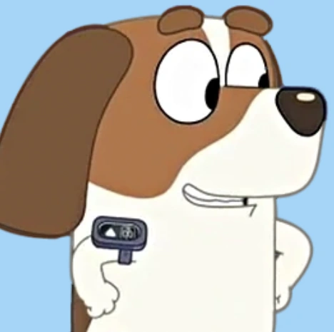 Rocko | Bluey Fanon Wiki | Fandom