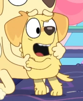 Chucky | Bluey Fanon Wiki | Fandom