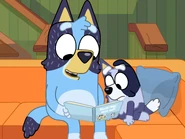 Milan Border-Heeler | Bluey Fanon Wiki | Fandom