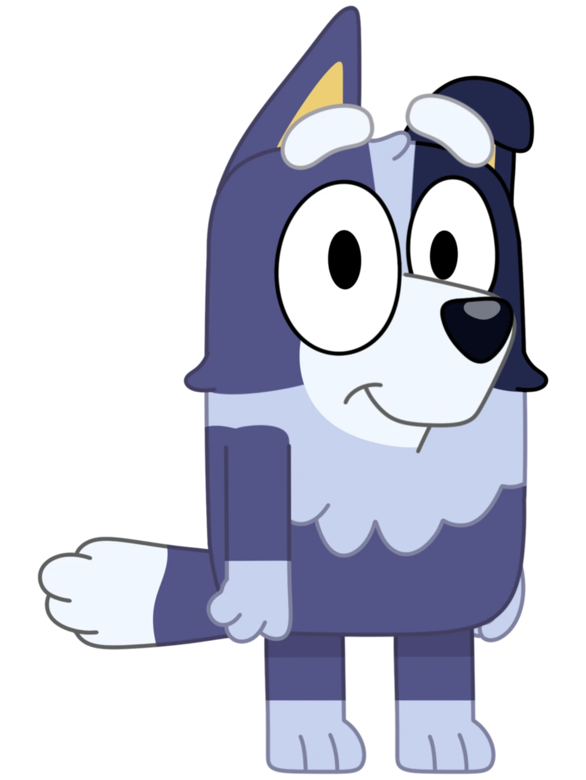 Milan Border-Heeler | Bluey Fanon Wiki | Fandom