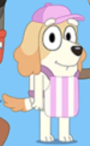 Creampuff Spaniel-Dingo | Bluey Fanon Wiki | Fandom