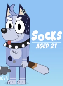 Socks (Grown Up) | Bluey Fanon Wiki | Fandom