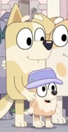 Banjo | Bluey Fanon Wiki | Fandom
