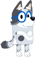 Bluey: Future Ahead! Wiki | Fandom
