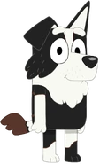 Bluey: Future Ahead! Wiki | Fandom
