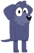 Bluey: Future Ahead! Wiki | Fandom