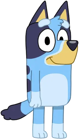 Bluey Border Collie | Bluey: Future Ahead! Wiki | Fandom