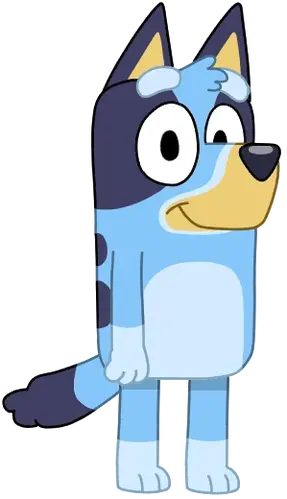 Bluey Border Collie | Bluey: Future Ahead! Wiki | Fandom