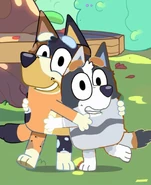 Mittens Heeler | Bluey future Wiki | Fandom