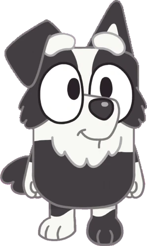 Mackenzie Border-Collie | Bluey future Wiki | Fandom