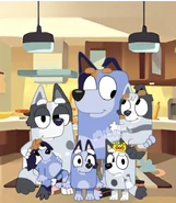 Muffin Heeler | Bluey future Wiki | Fandom