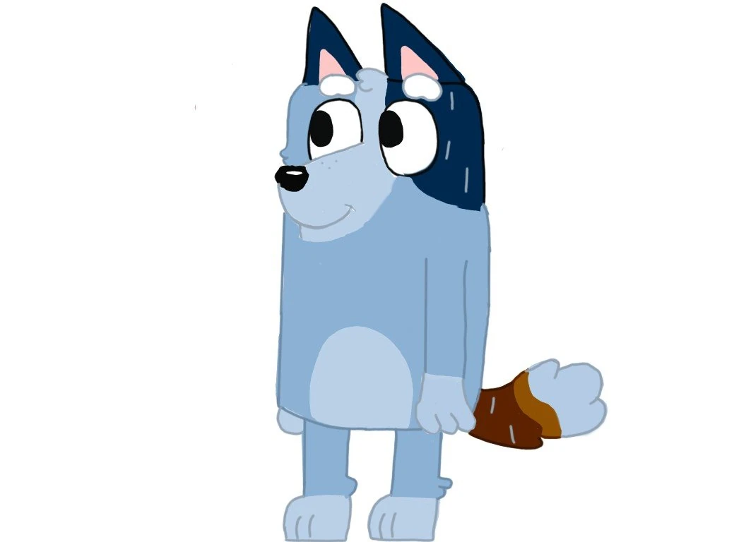 Socks | Bluey In The Futureverse Wiki | Fandom