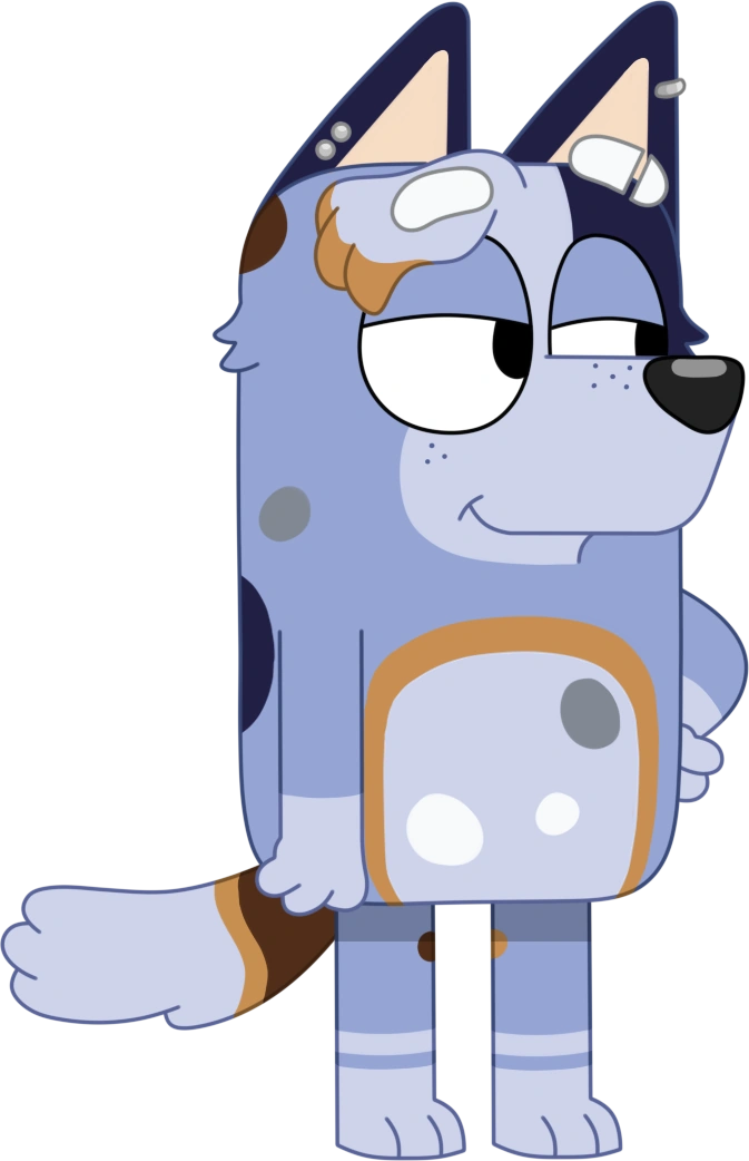 Socks Heeler | Bluey: Modern Life Wiki | Fandom