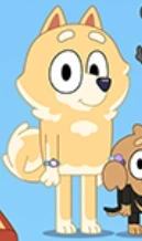 Missy's Mum | Bluey Roleplay Wiki | Fandom
