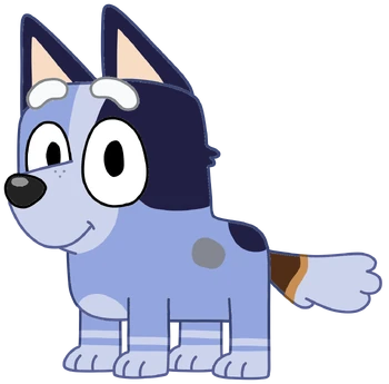 Socks Heeler | Bluey: The Next Chapter Wiki | Fandom
