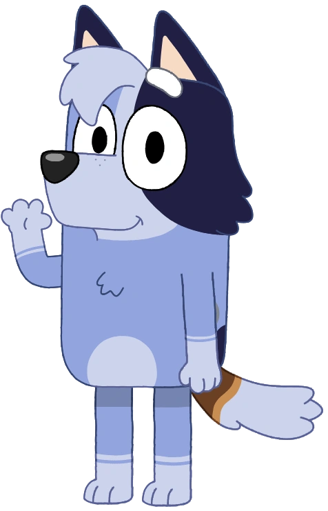 Socks Heeler | Bluey: The Next Chapter Wiki | Fandom