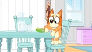 Bluey | Bluey Wiki | Fandom