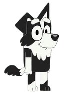 Mackenzie Border Collie/Gallery | Bluey Wiki | Fandom