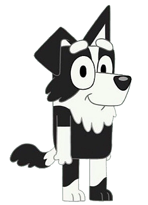 Mackenzie Border Collie/Gallery | Bluey Wiki | Fandom