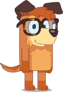 Busker | Bluey Wiki | Fandom