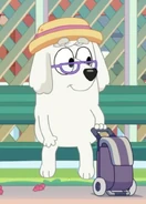 Doreen | Bluey Wiki | Fandom