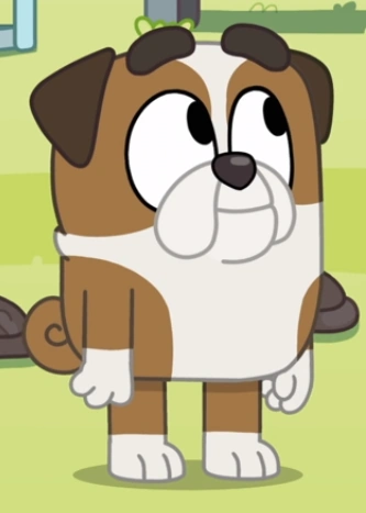 Winton | Wiki Bluey | Fandom