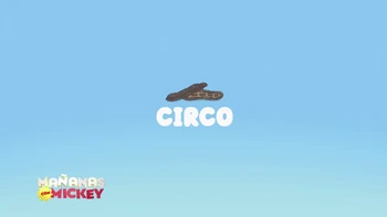 Circo | Wiki Bluey | Fandom
