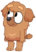 Dougie | Bluey Wiki | Fandom