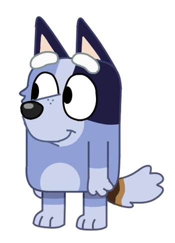 Socks Heeler | Wiki Bluey | Fandom