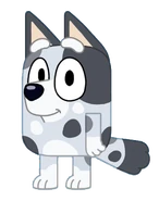 Muffin Heeler | Bluey Wiki | Fandom