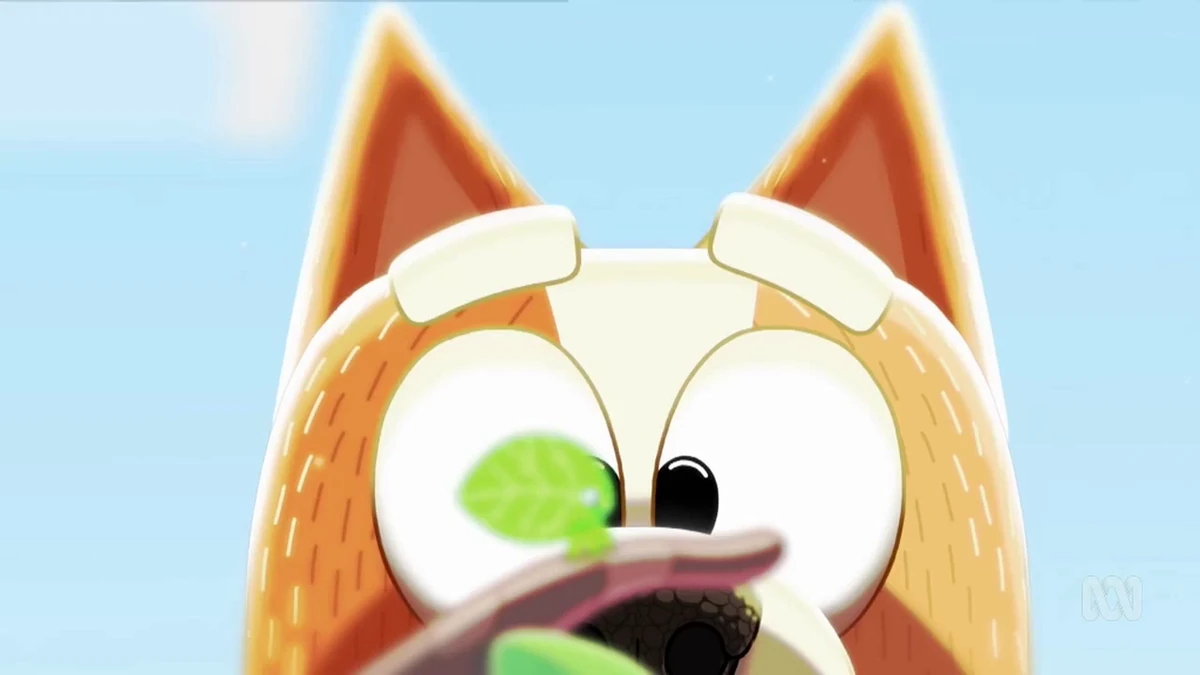 The Weekend/Gallery | Bluey Wiki | Fandom