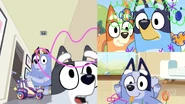 Cat Squad | Bluey Wiki | Fandom